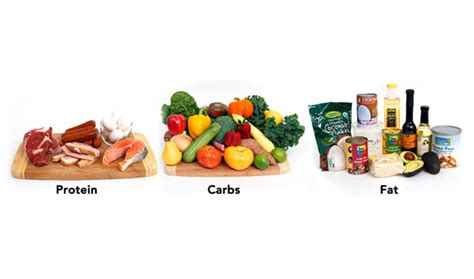 Three Macronutrients