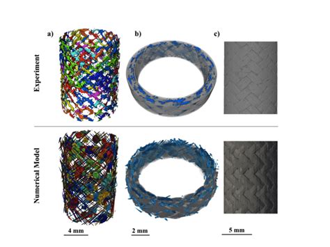 comparison between the numerical and experimental microstructure