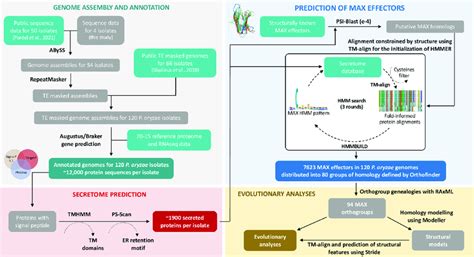 Schematic Representation Of The Main Steps Of The Bioinformatic Download Scientific Diagram