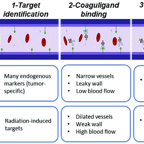 Bordens Classification Of Davf Download Table