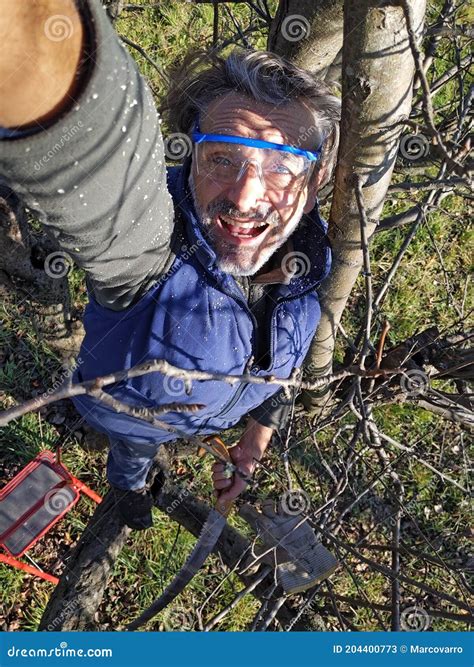 Man Pruning A Tree Stock Image Image Of Outside Nature 204400773