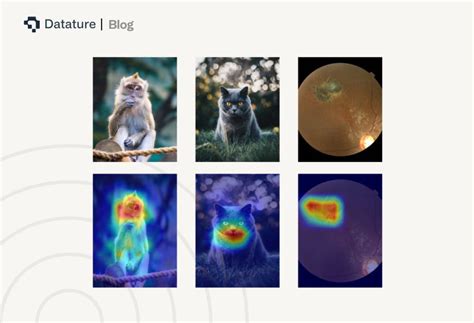 understanding your yolov8 model with eigen cam