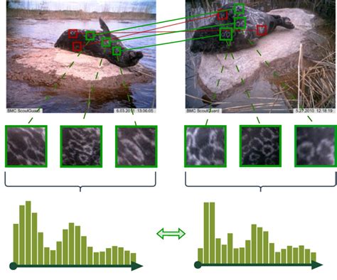 The Proposed Method Combines Aggregated Pattern Features And Geometric Download Scientific