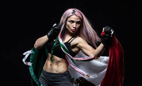 Sexy Star Ridiculously Claims She Inspired Wwes Womens Evolution
