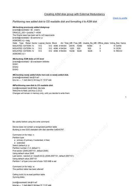 Asm Disk Creation Pdf Computing Computing Platforms