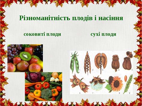Які рослини квіткові презентація з природознавства