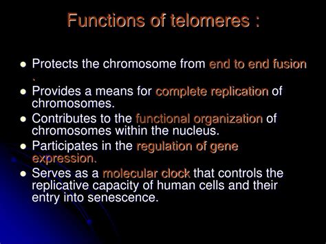 Ppt Telomeres And Telomerase Powerpoint Presentation Free Download