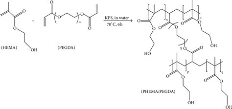 Figure 1 From Biocompatible Bacterial Cellulose Poly2 Hydroxyethyl Methacrylate Nanocomposite