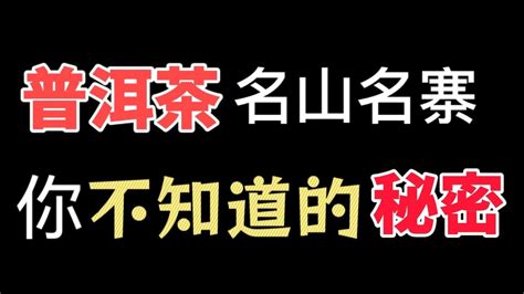 內幕 探索雲南普洱茶山頭的風土人情，深入了解有哪些古樹普洱茶值得茶友們收藏呢！普洱茶 古樹茶 ＃茶葉 Youtube