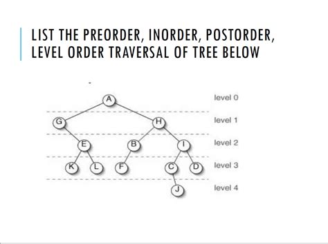 Solved List The Preorder Inorder Postorder Level Order