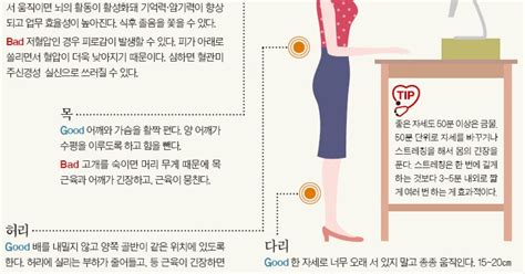 어깨·가슴 펴고 목은 똑바로 등받이에 허리 바짝 붙여라