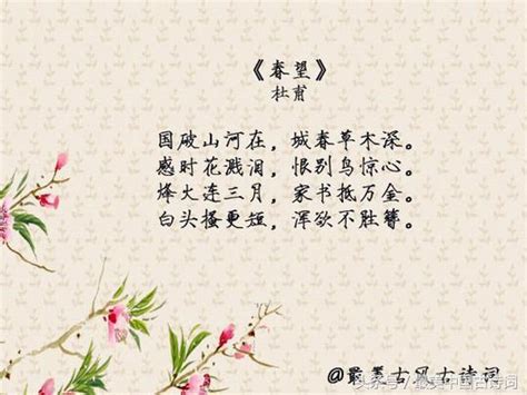 詩聖杜甫的五律詩你讀過幾首 每日頭條