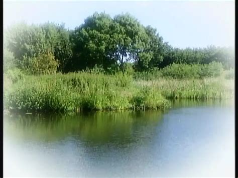 Free Sex Planet Porn Videos Xhamster