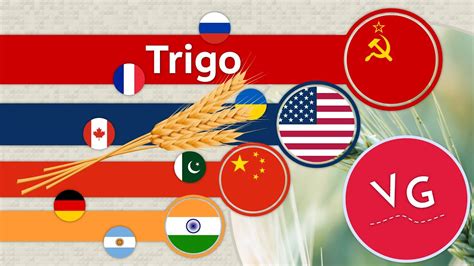 Producción Mundial De Trigo Principales Países Productores