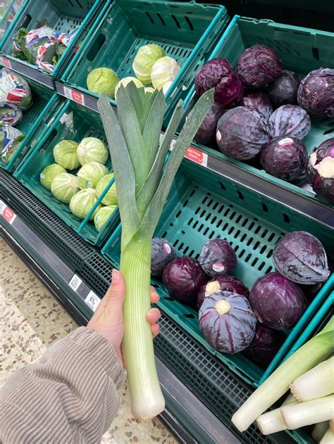 Green Onion Miku Hatsune Miku Hatsune