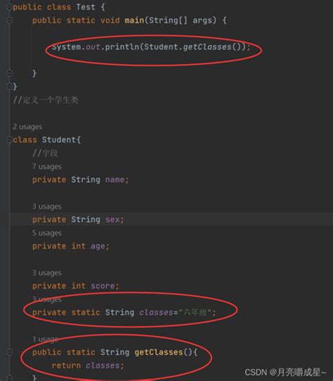 【java se】static成员及代码块 在方法中可以定义static代码块 csdn博客
