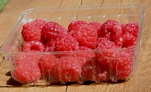 覆盆莓英文：raspberry 水果簡介 水果研究室 阿洲水果行