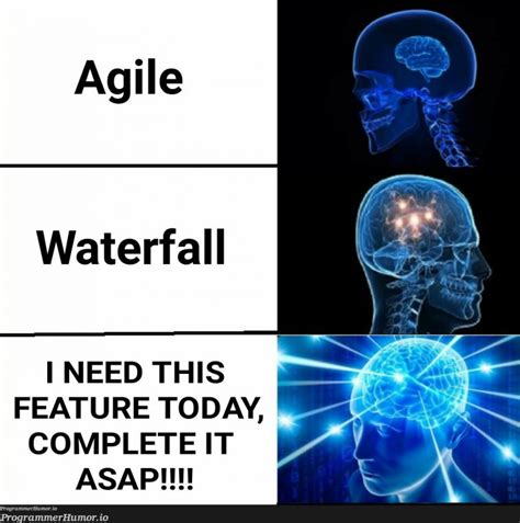 AgileWhat ProgrammerHumor Io