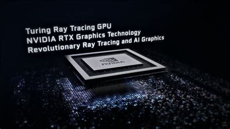 AMD Vs Nvidia How AMD Can Combat Nvidia S RTX Graphics Cards