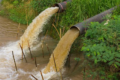 PDF Examples Of Point Sources Of Water Pollution Include PDF