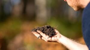 Composting Myths You Shouldn T Believe