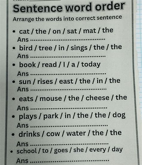 Arrange The Words Into Correct Sentence StudyX