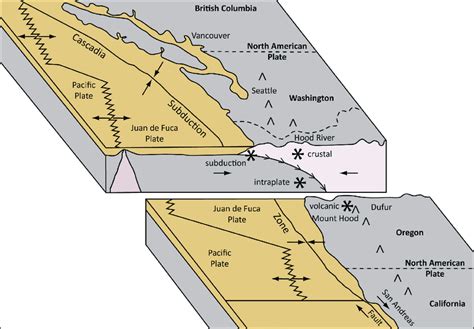 Schematic Diagram Showing Tectonic Setting Of The Pacific Northwest And Download Scientific
