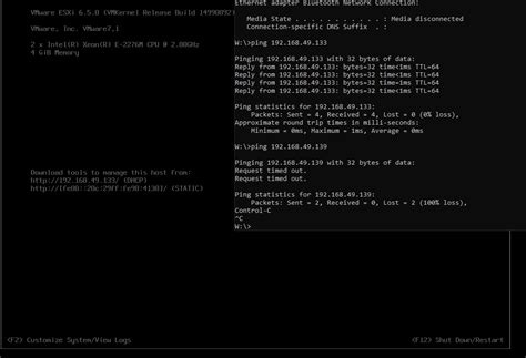 unable to ping esxi guest os from my local host computer vmware vsphere