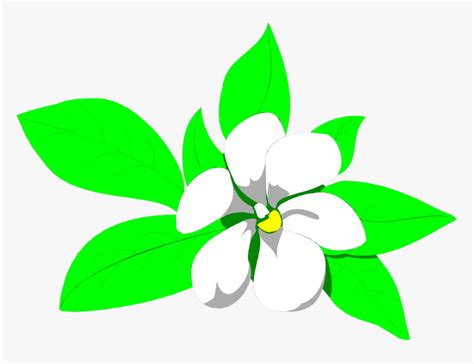 How To Draw Sampaguita Easy If You Consider Yourself Talented It S Easy To A Certain Extent