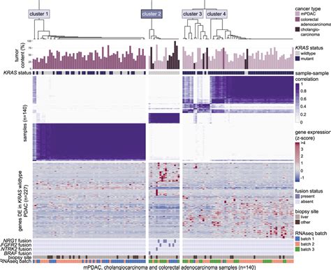 Kras Wildtype Mpdac Samples Show Unique Mutation And Expression