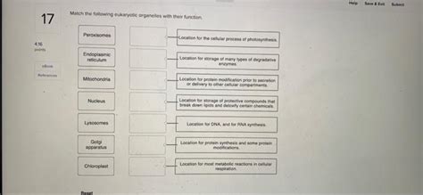Solved Help Save And Ex Subm Match The Following Bacterial