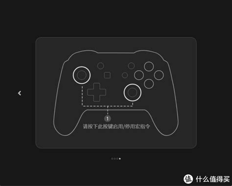 Nintendo Switch Pro 原装手柄：连发、按键映射、振动级别、一键大招一个都不能少 财经头条