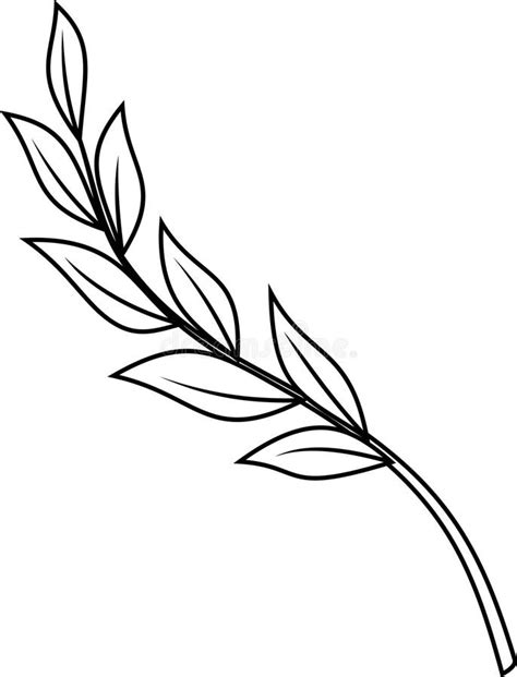 Laurel Branch Vector Stock Vector Illustration Of Plant 9683482