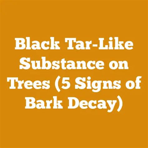 Black Tar Like Substance On Trees 5 Signs Of Bark Decay