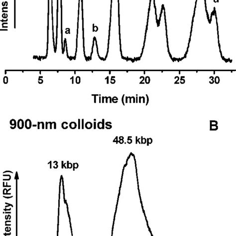 Separation Of Various Dsdna Molecules Using Colloidal Arrays Of