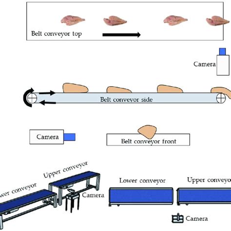 Schematics Of The System Setup Viewed From A The Top B Side And Download Scientific
