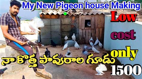 How To Make A Pigeon House At Home In Telugu Easy Way To Make Pigeon