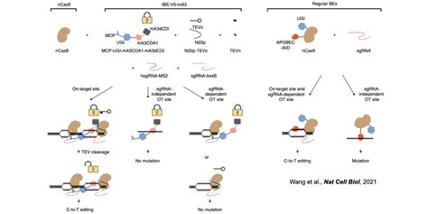 Bioinformatics And Interdisciplinary Technologies Bits — Yang Lab