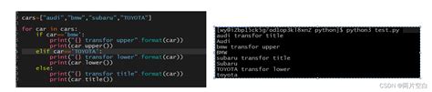 python条件分支和循环语句