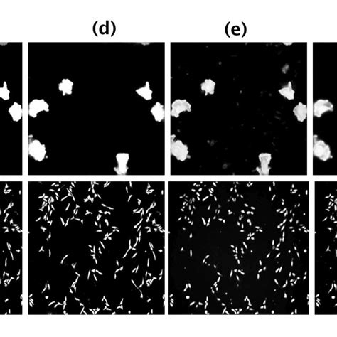 Mapping Image Complexity With Accuracy Degradation Left Our Datasets