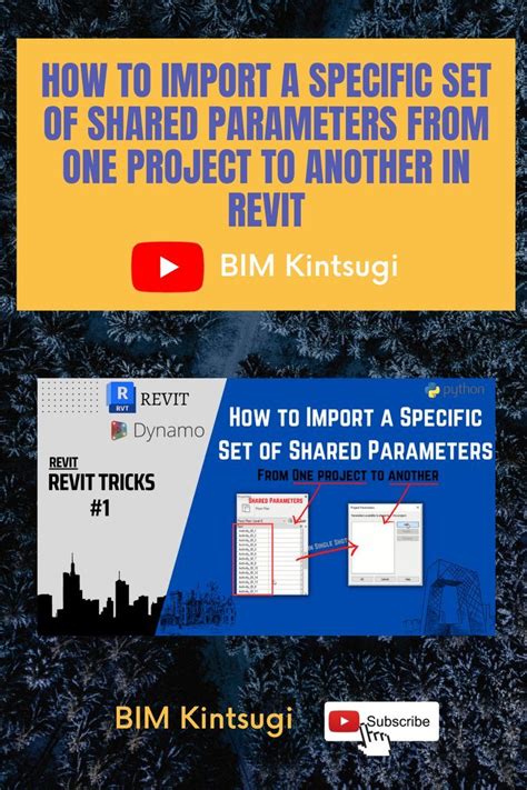 Import Specific Shared Parameters In Revit