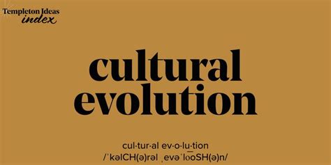 Understanding Cultural Evolution