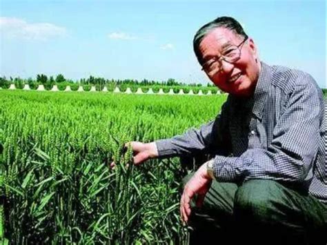 科学家精神”学习月】李振声院士：中国小麦远缘杂交育种奠基人——2006年度国家最高科学技术奖获得者 河南中医药大学中医药科学院