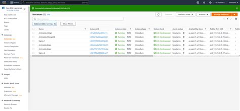 aws wavelength cluster deployment · ant media ant media server wiki