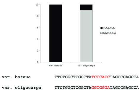 Polymorphism Of Inversion Frequencies Of Alleles Found For 20