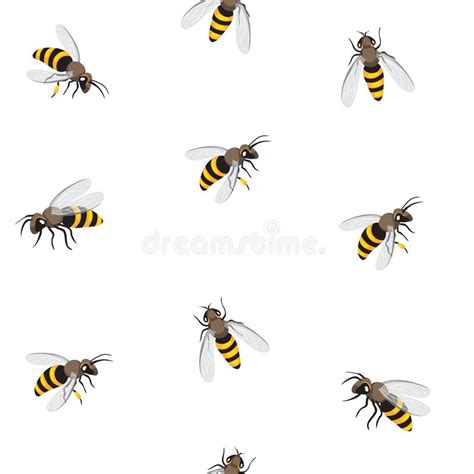 Bee Seamless Pattern Honey Bee Vector Illustration Eps10 Stock Vector Illustration Of Cute Bee Seamless Pattern Honey Bee Vector Illustration Eps10 Stock Vector Illustration Of Cute