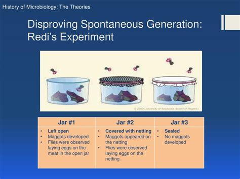 Ppt Medical Microbiology Powerpoint Presentation Free Download Id