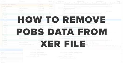 How To Remove Pobs Data From Primavera P6 Xer Files Safe And Fast