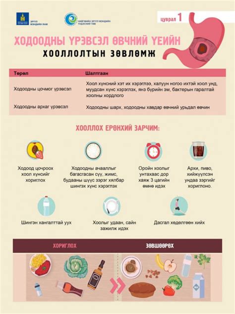 Newsmedia Mn Зөвлөмж ХОДООДНЫ ҮРЭВСЭЛ ӨВЧНИЙ ҮЕИЙН ХООЛЛОЛТЫН ЗӨВЛӨМЖ