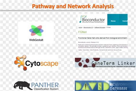 Heatmap Rna Seq Web Page Logo Organization Png Image Pnghero